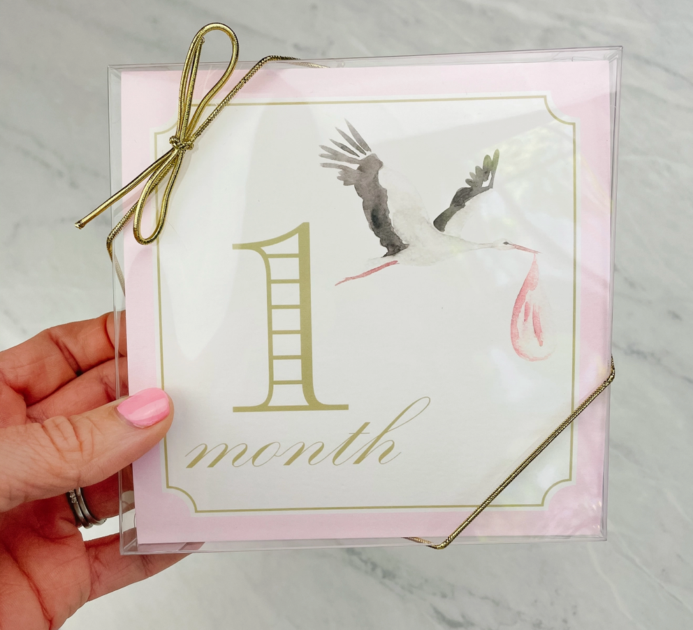 Classic Milestone Cards - Girl – Pebble Hill